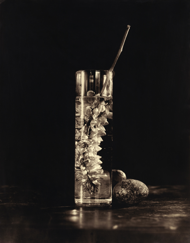 Éric Antoine photo | Drowning Flowers