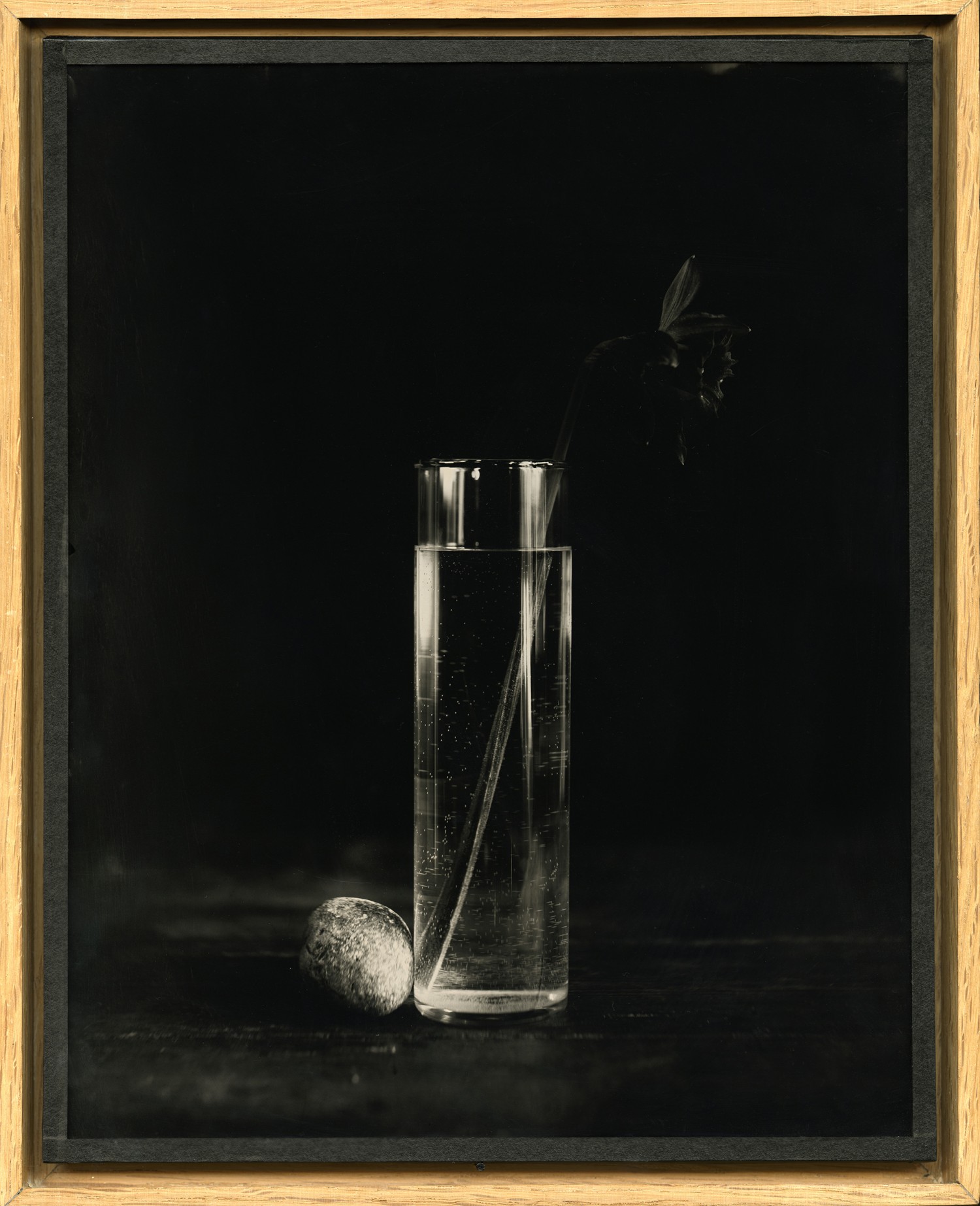 Éric Antoine photo | Drowning Flowers